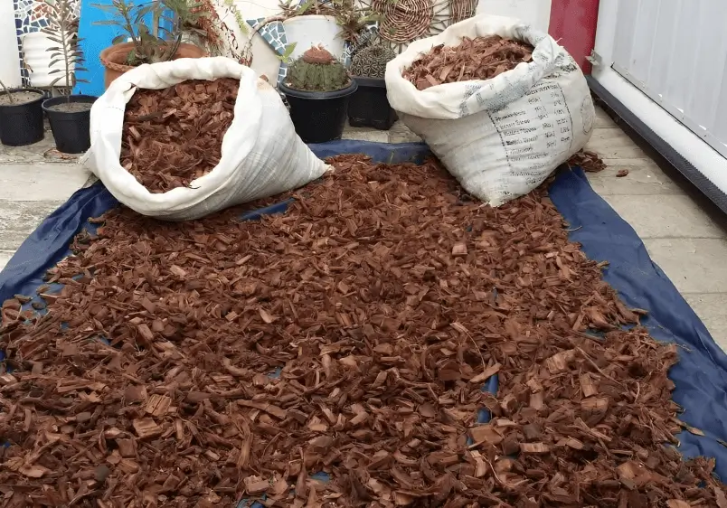 wholesale Mimosa hostilis root bark - MHRB United States